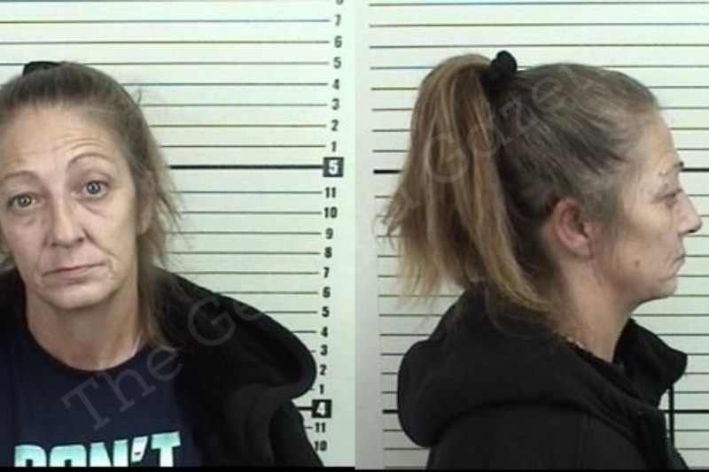 Wendy Allen — Camden County Jail Bookings