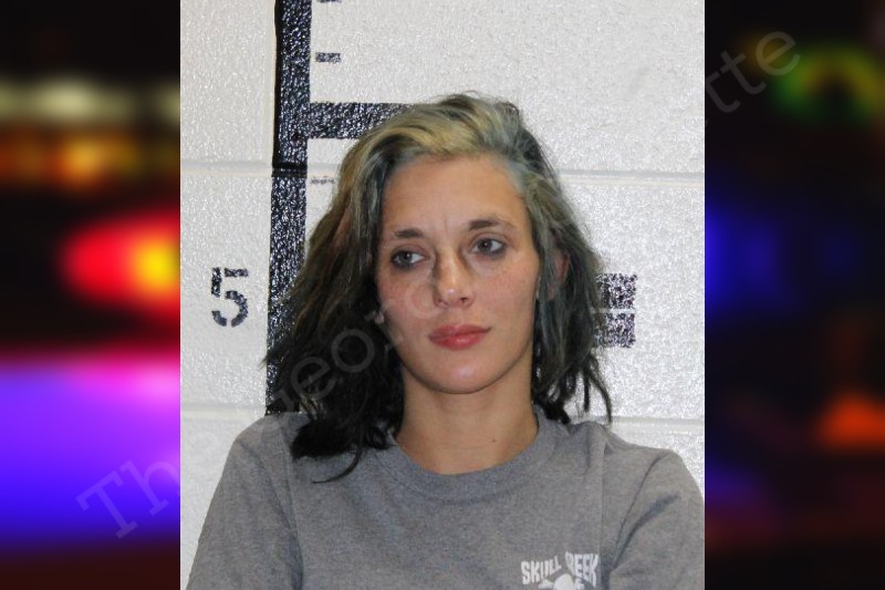 Sarah Alshouli — Murray County Jail Bookings
