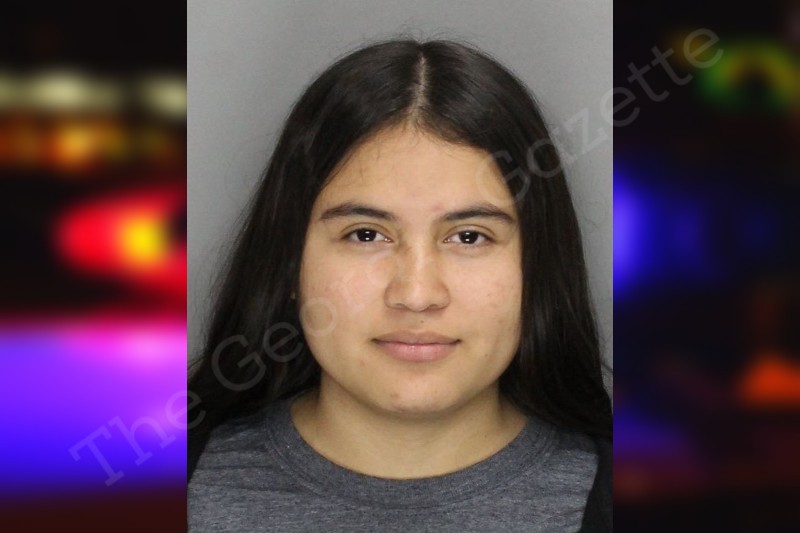 Kirlyn Baca — Cobb County Jail Bookings