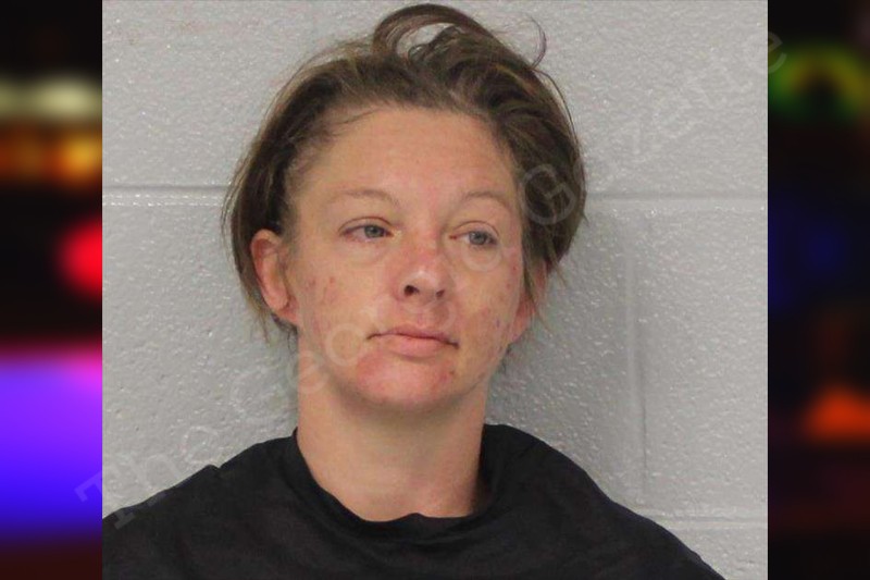 Kelly Banner — Carroll County Jail Bookings