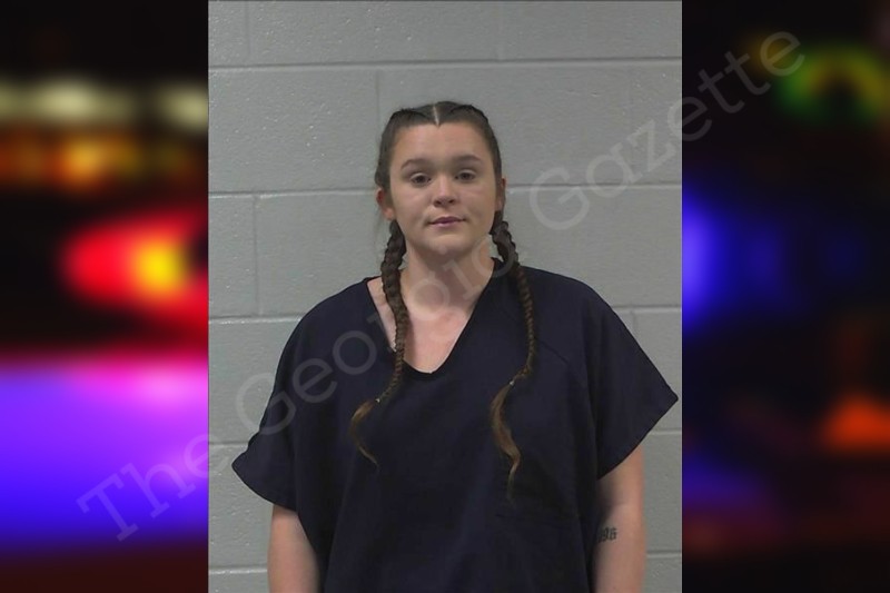 Logan Bates — Gilmer County Jail Bookings