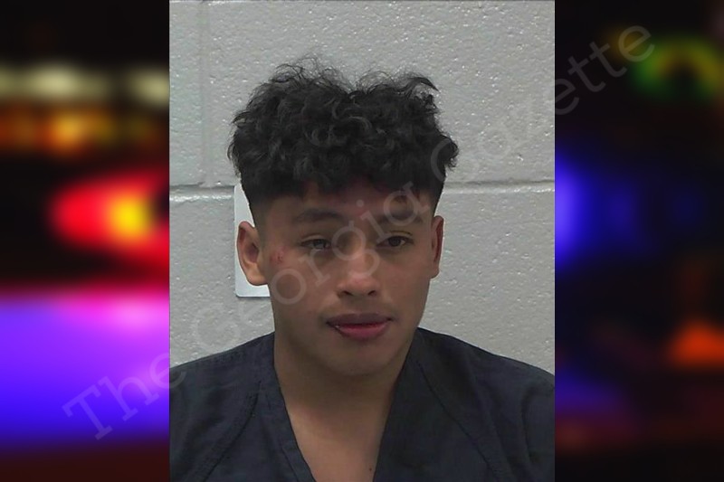 Mario Bautista — Gilmer County Jail Bookings