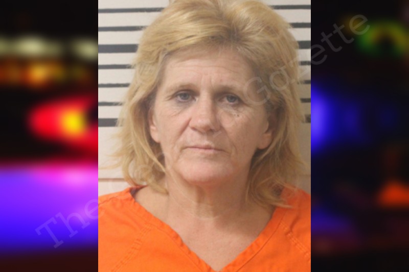 Amanda Bohannon — Toombs County Jail Bookings