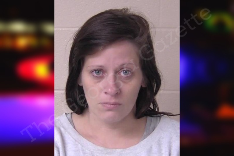 Megan Bryson — Walker County Jail Bookings