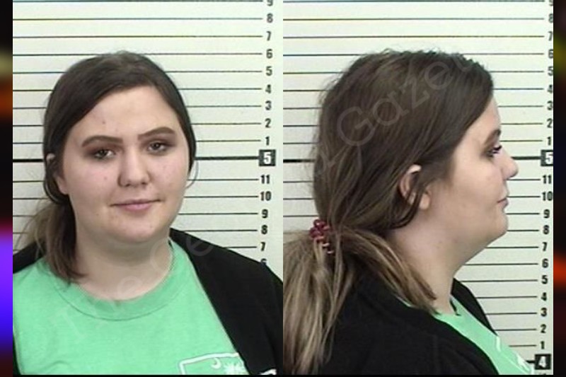 Madison Burnham — Camden County Jail Bookings