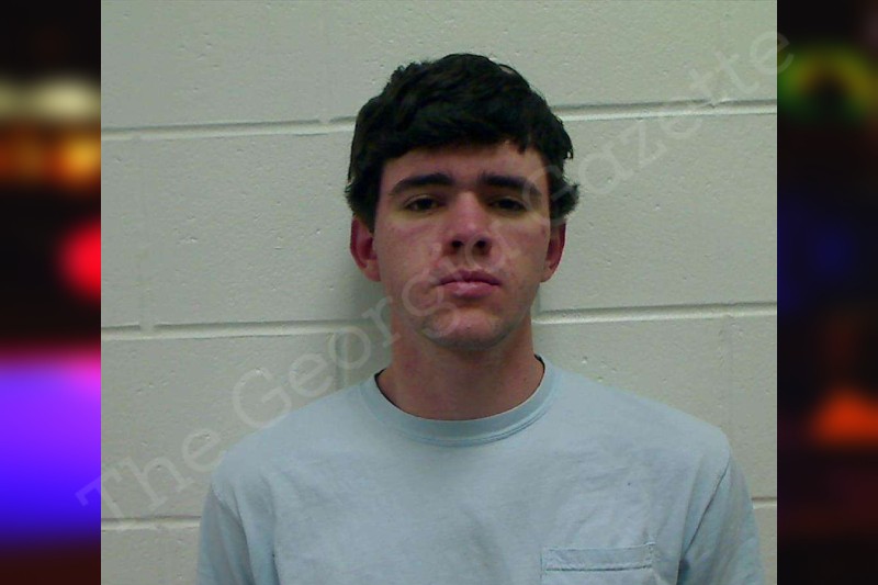 Michael Cartwright — Bulloch County Jail Bookings