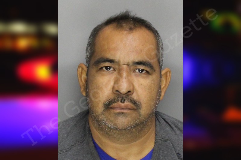 Fernando Castillo — Cobb County Jail Bookings