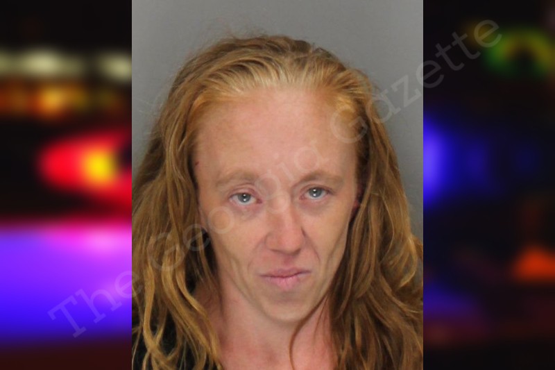 Jamie Clackum — Cobb County Jail Bookings