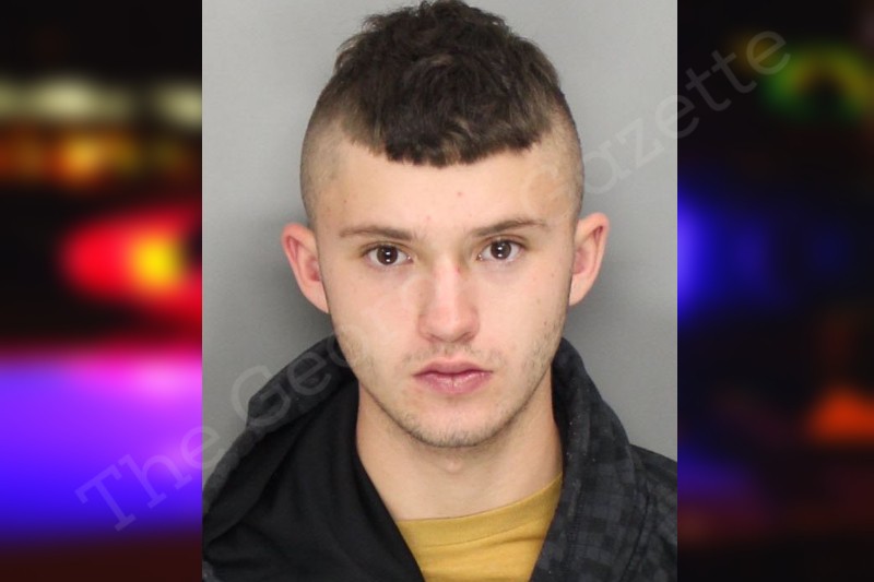 Zander Cooney — Cobb County Jail Bookings