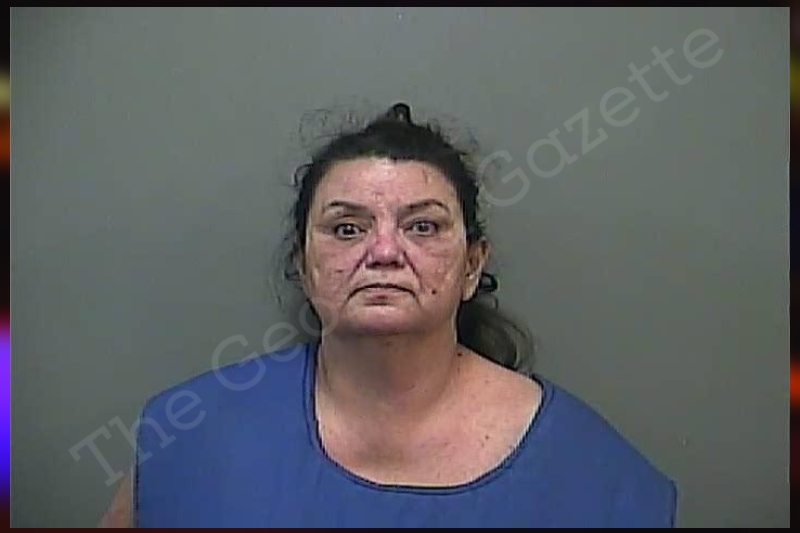 Dawna Castro — White County Jail Bookings