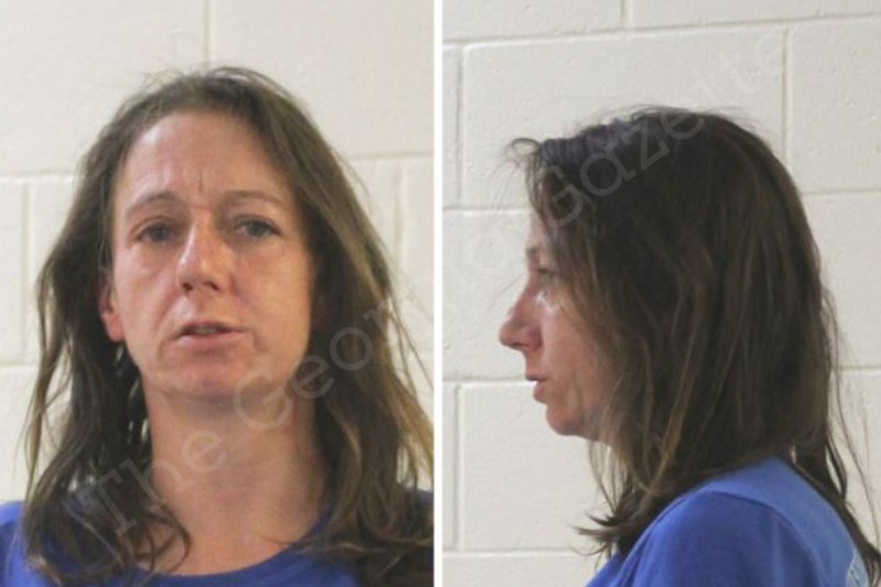 Kristin Chambers — Houston County Jail Bookings