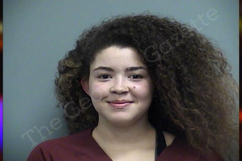 Kyndall Chappelle — Effingham County Jail Bookings