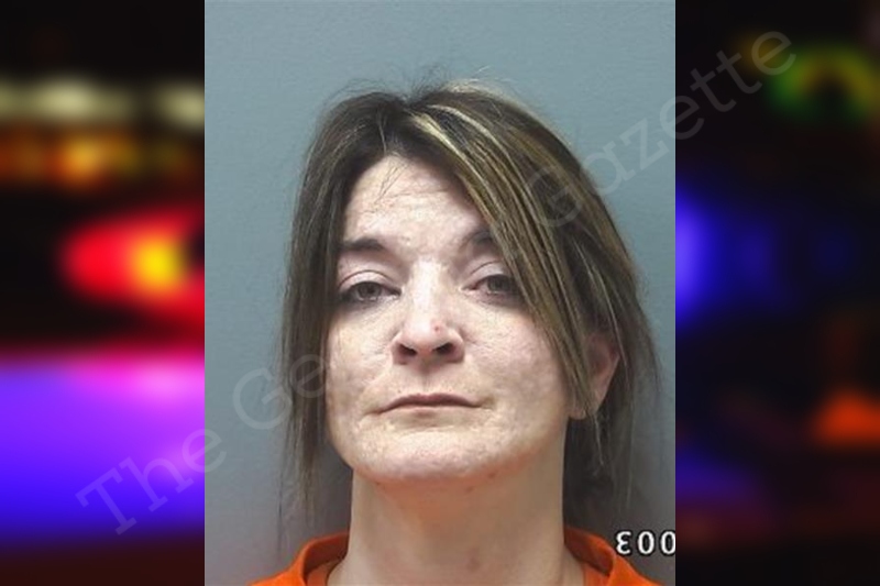 Leesa Collier — Cherokee County Jail Bookings