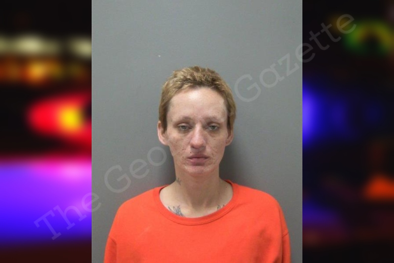 Arlene Cook — Cherokee County Jail Bookings