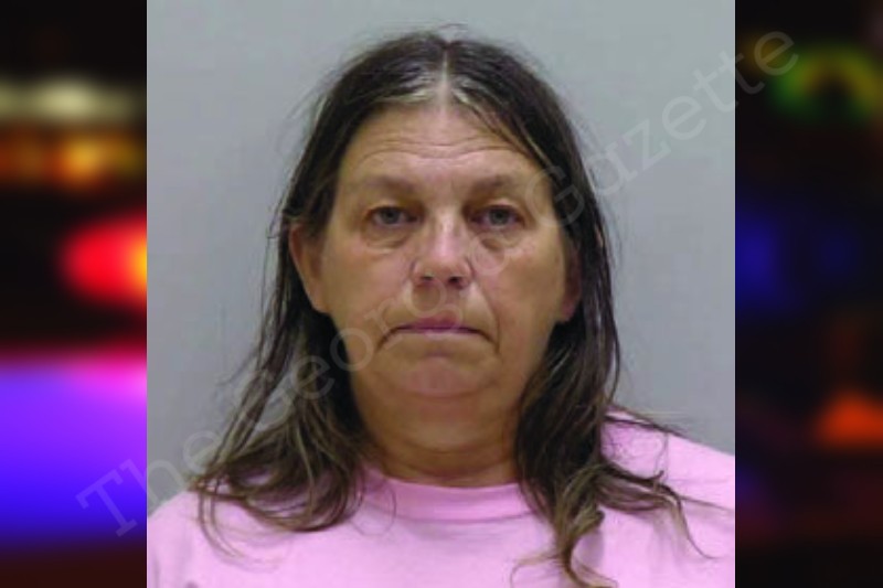 Darlene Cook-George — Bartow County Jail Bookings