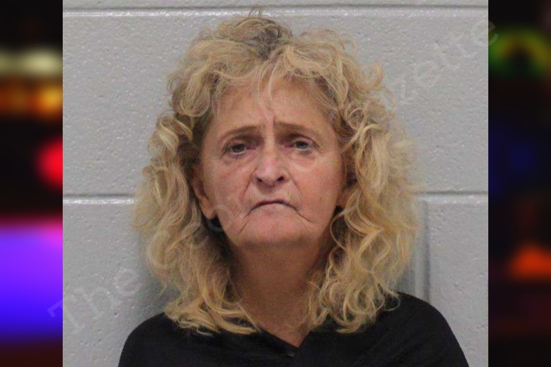 Brenda Dale — Carroll County Jail Bookings