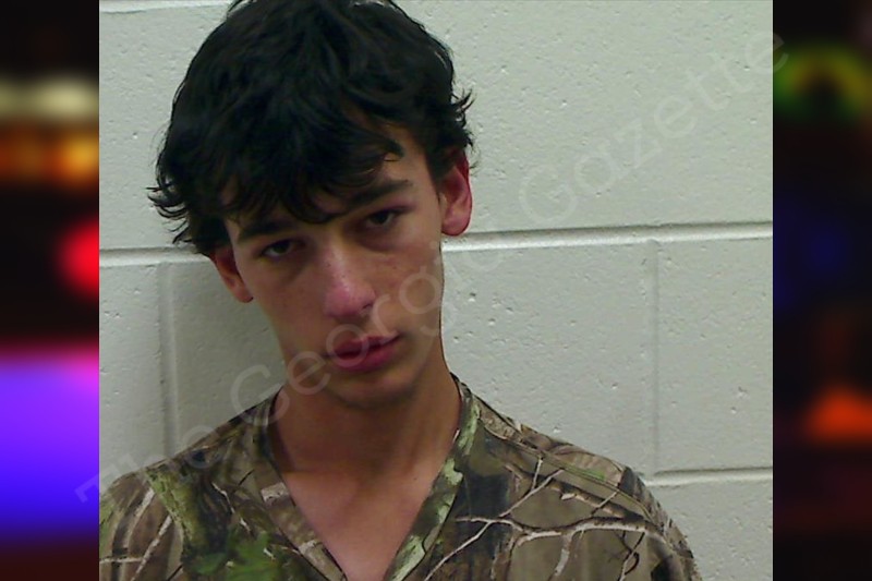 Christian Daniels - Bulloch County Christian Daniels - Bulloch County
