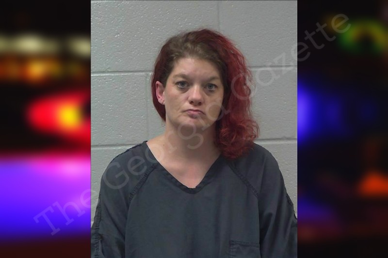 Jessica Dunn — Gilmer County Jail Bookings