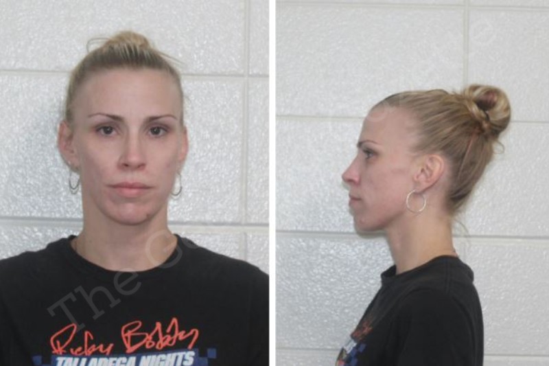 Kelly Davis — Houston County Jail Bookings