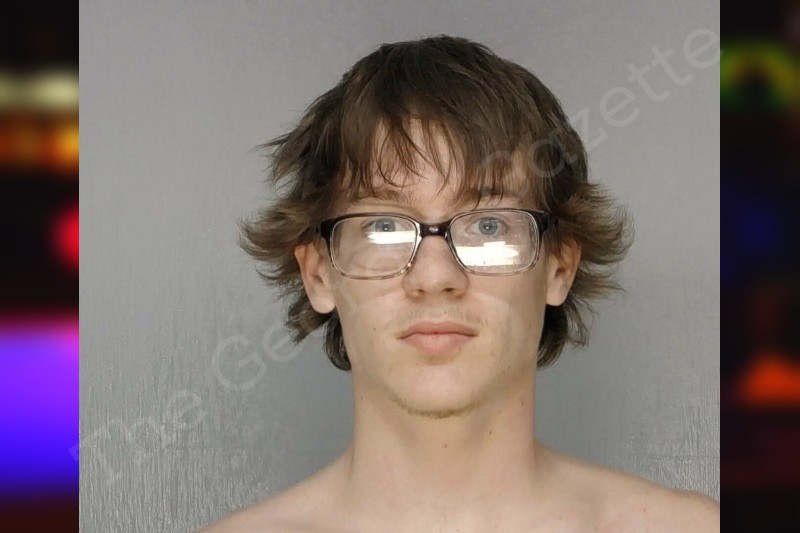 Dillon Stanley — Bibb County Jail Bookings