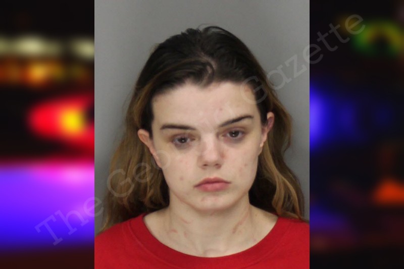 Madelyn Edwards — Cobb County Jail Bookings