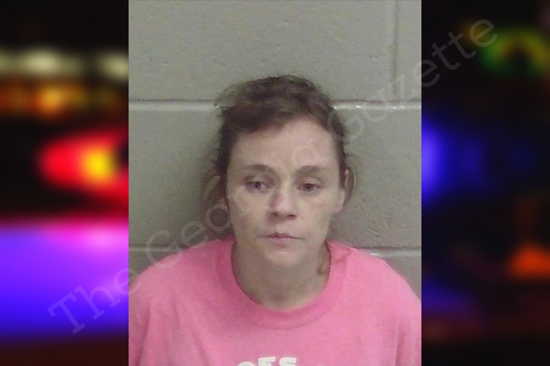 Kayla Elliott — Wayne County Jail Bookings