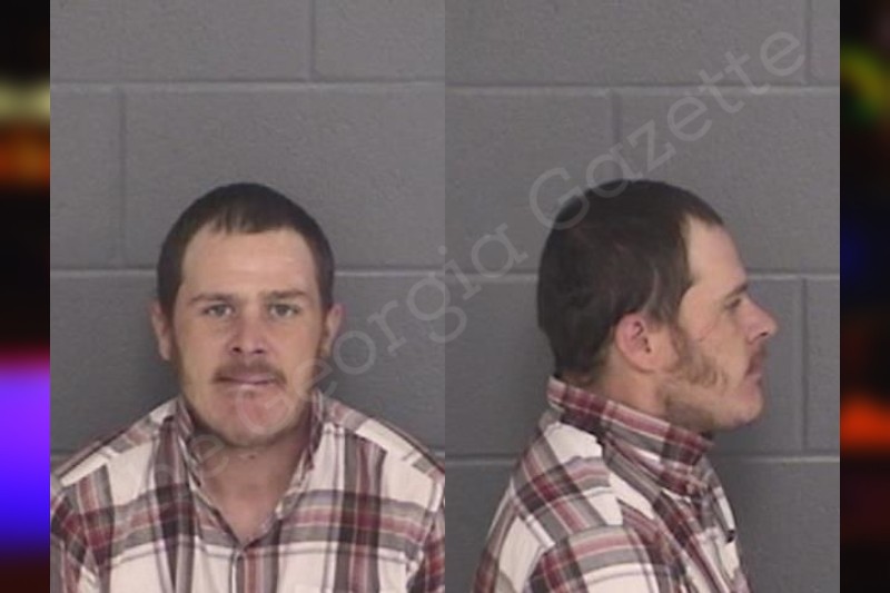 Tracy Flannery — Barrow County Jail Bookings