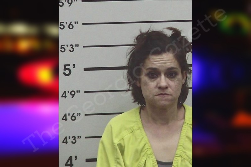 Courtney Fowler — Turner County Jail Bookings