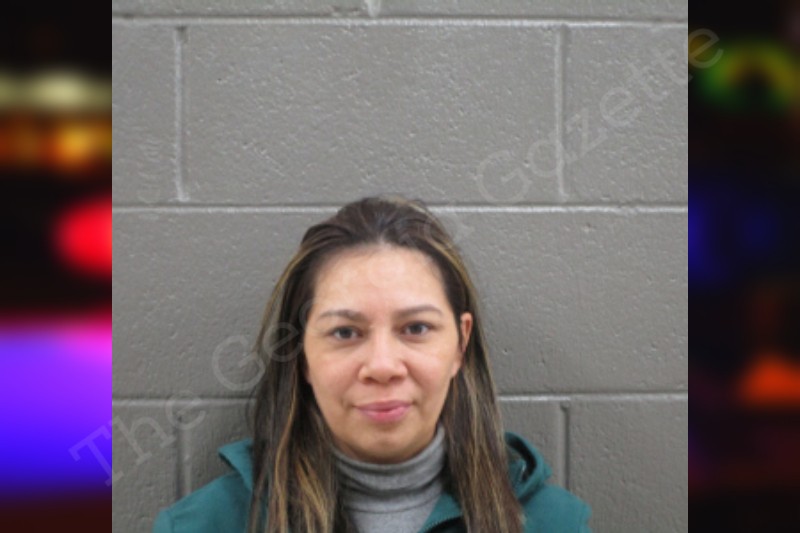 Sayda Santos — Banks County Jail Bookings