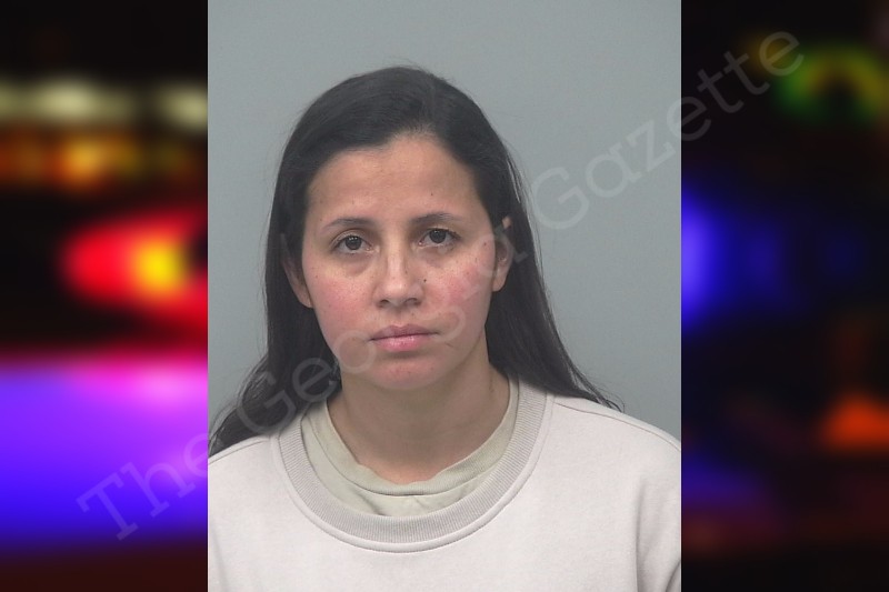 Yisel Garcia | Gwinnett County Jail Bookings