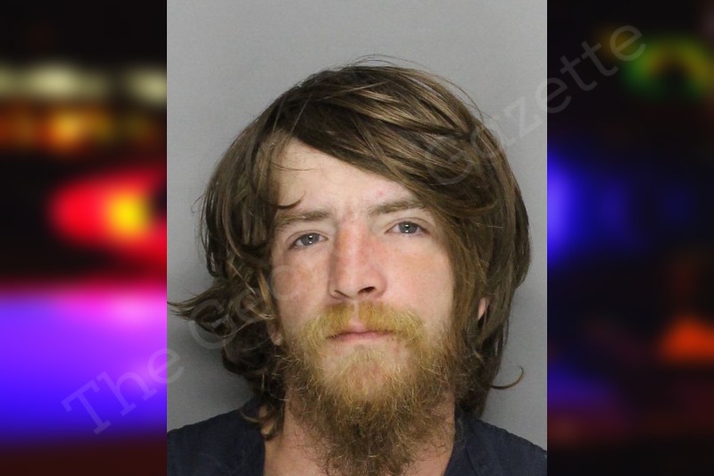 Robert Gaylor — Cobb County Jail Bookings