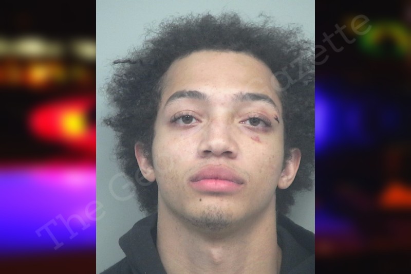 Austin Griggs — Gwinnett County Jail Bookings