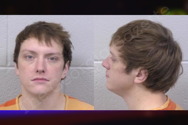 Jacob Gamel — Paulding County Jail Bookings