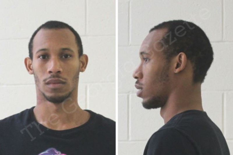 Alvin Gayle — Houston County Jail Bookings