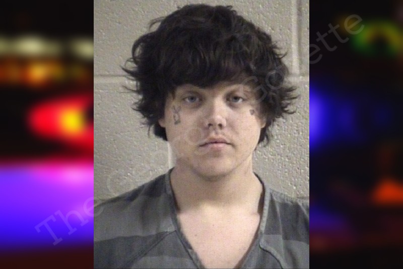 Dakota Gibson — Whitfield County Jail Bookings