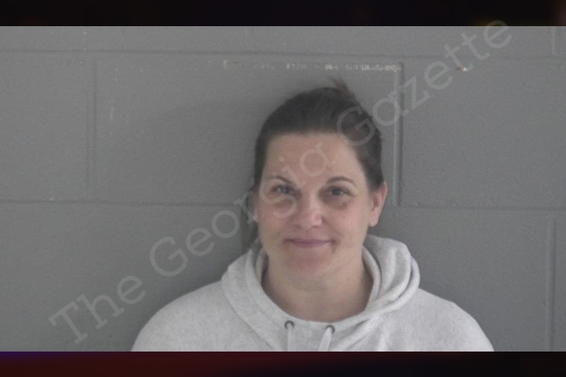 Laura Gilder — Brantley County Jail Bookings