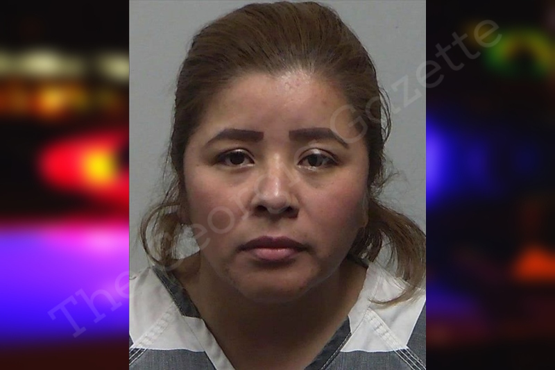 Maribel Gomez — Tift County Jail Bookings