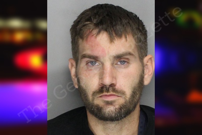 Tyler Haire — Cobb County Jail Bookings