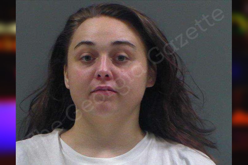 Sydney Hamby — Rabun County Jail Bookings