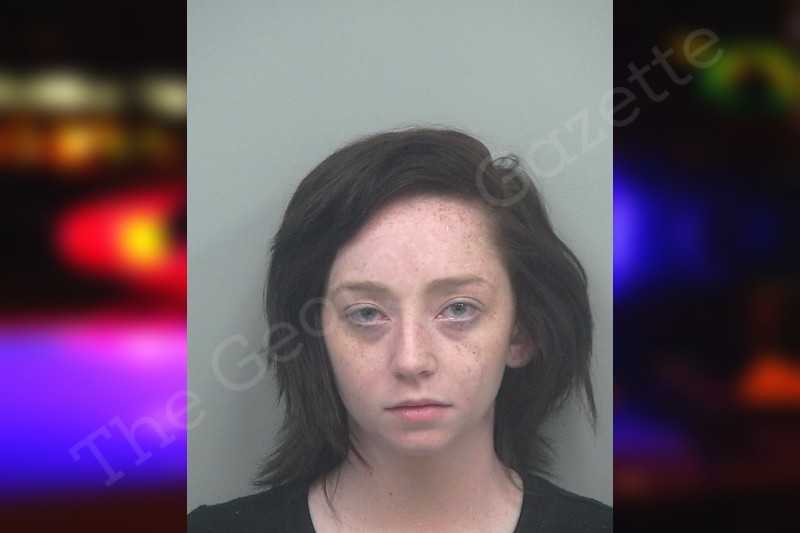 Chelsea Harmon — Gwinnett County Jail Bookings