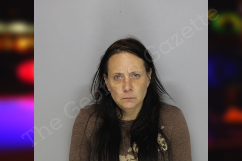 Erin Hurt — Hall County Jail Bookings
