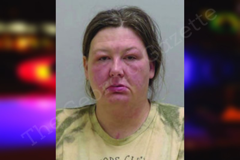 Trina Hall — Bartow County Jail Bookings