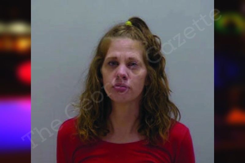 Ashton Hamilton — Bartow County Jail Bookings