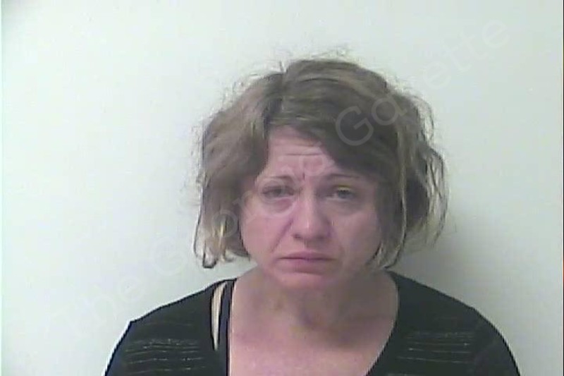 Meghan Hancock — Oconee County Jail Bookings