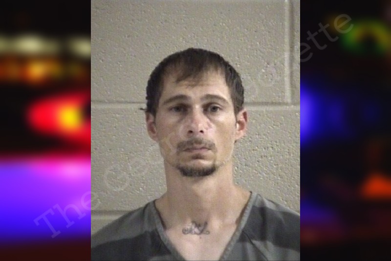 Jamie Harbin — Whitfield County Jail Bookings