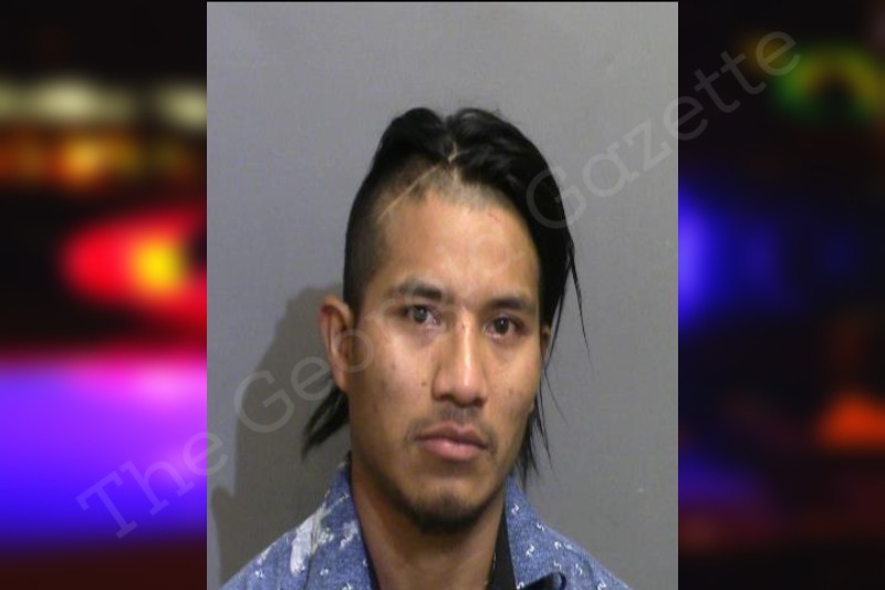 Wilmer Hernandez — Glynn County Jail Bookings