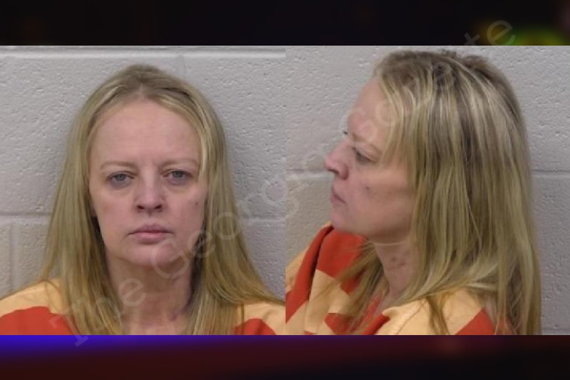 Levena Holmes — Paulding County Jail Bookings