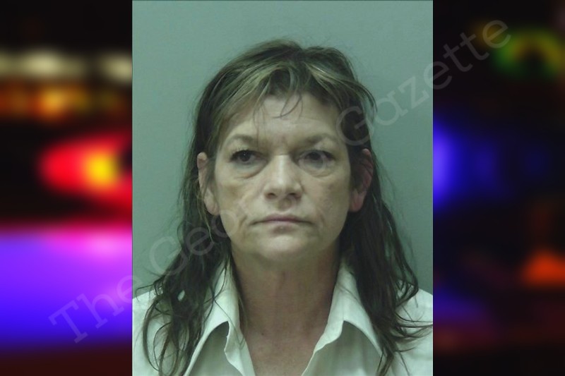 Debby Hooper — Towns County Jail Bookings