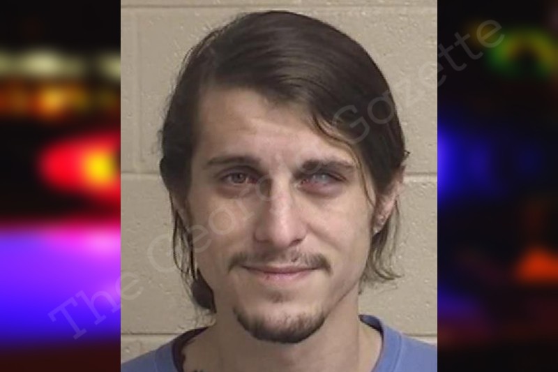 Brycon Hunter — Walker County Jail Bookings