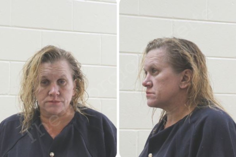Lesley Kidd — Houston County Jail Bookings